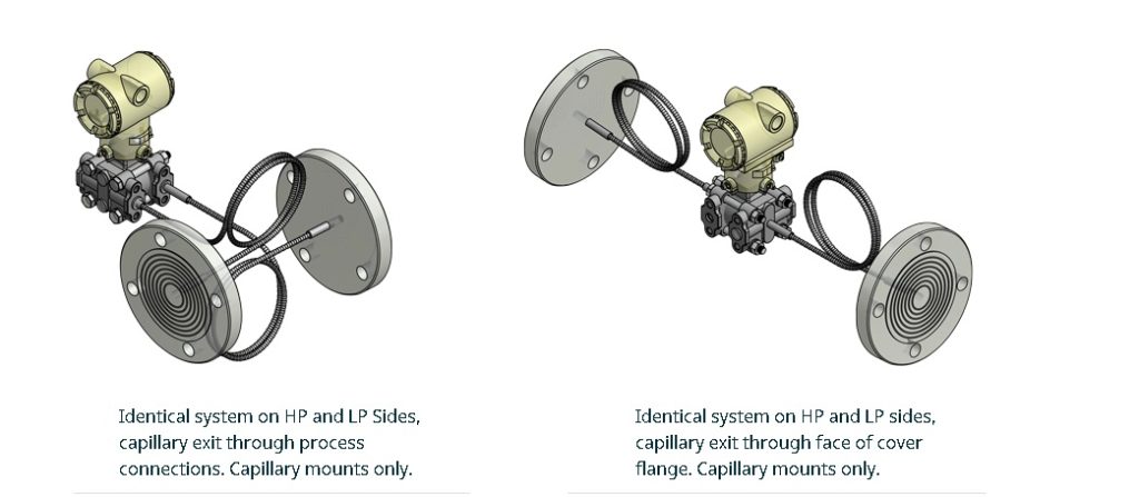 Diaphragm Seal and Instrument Assembly | Instrumentation and Control ...